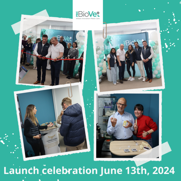 Home - PBC BioMed | Accelerating Medical Innovation